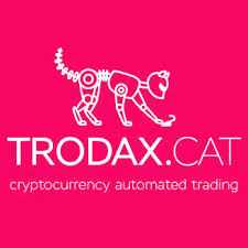 TRODAX.CAT（トロダクス・キャット）……意外にも着々と利益が出ている……。 | FUJORI-風城離